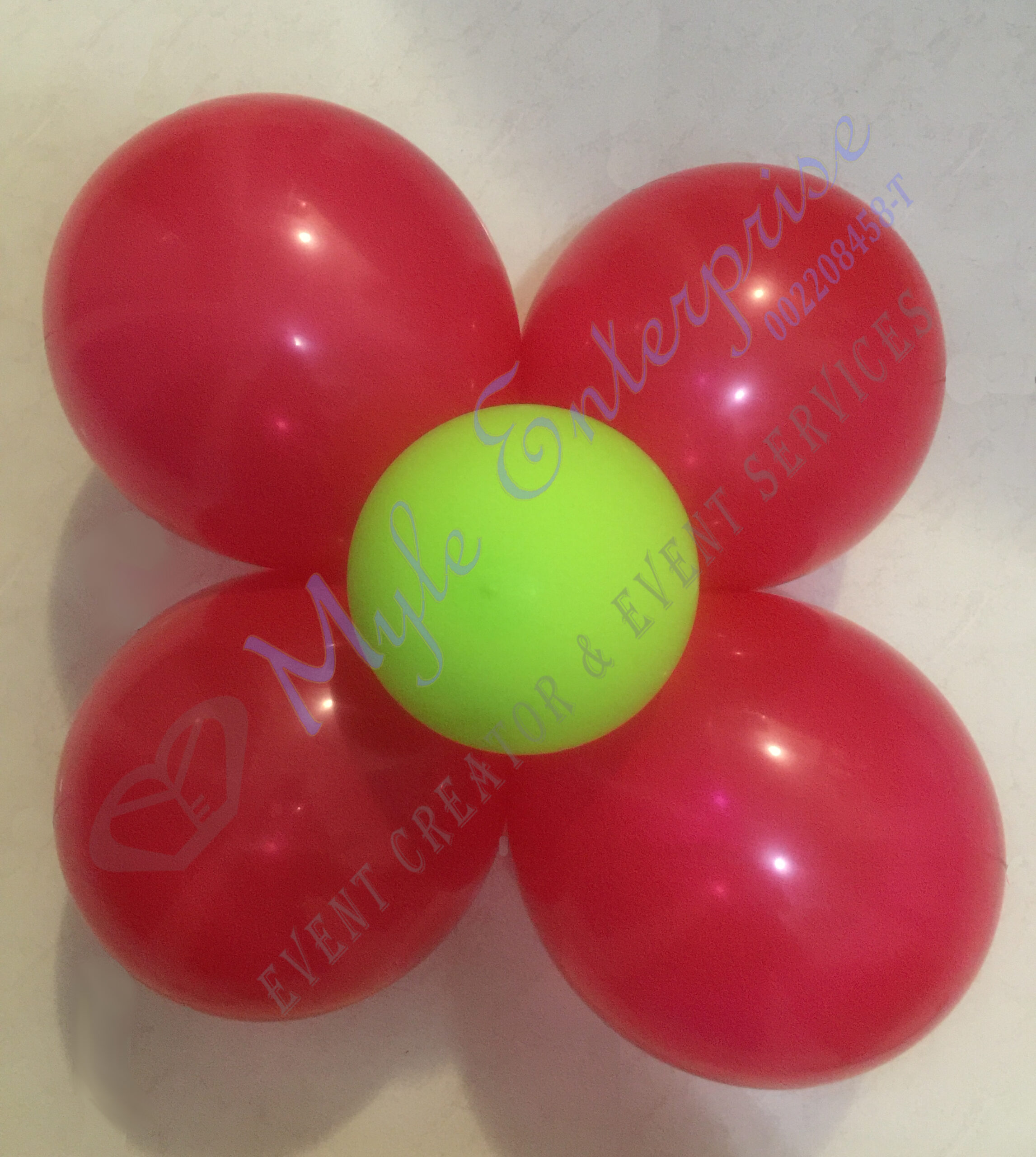Inflated balloons (without helium) - 10 pieces , Myle Enterprise
